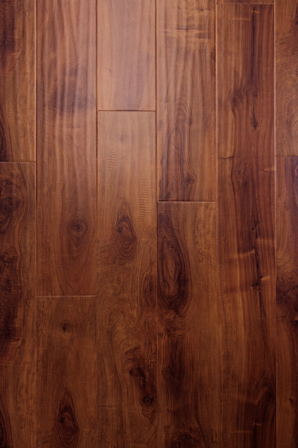 Parkay Forest Mocha Acacia Laminate Flooring 12.3mm - Jv Wood Floors